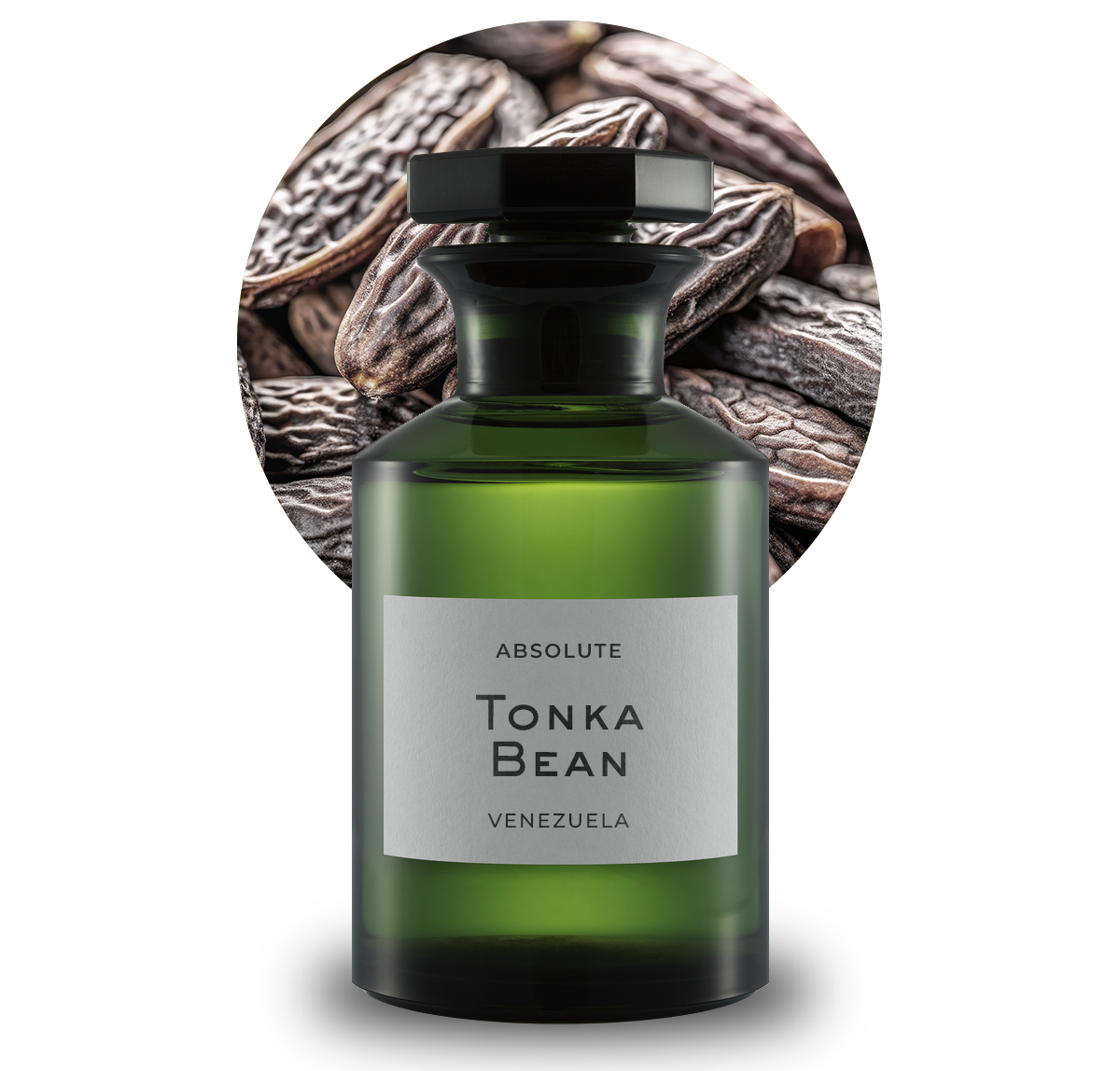 Tonka beans Absolute Venezuela