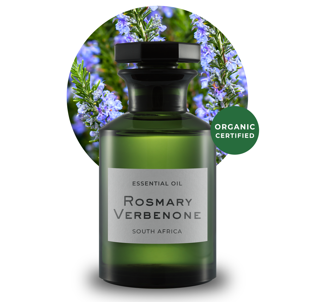 Rosemary verbenone EO Organic